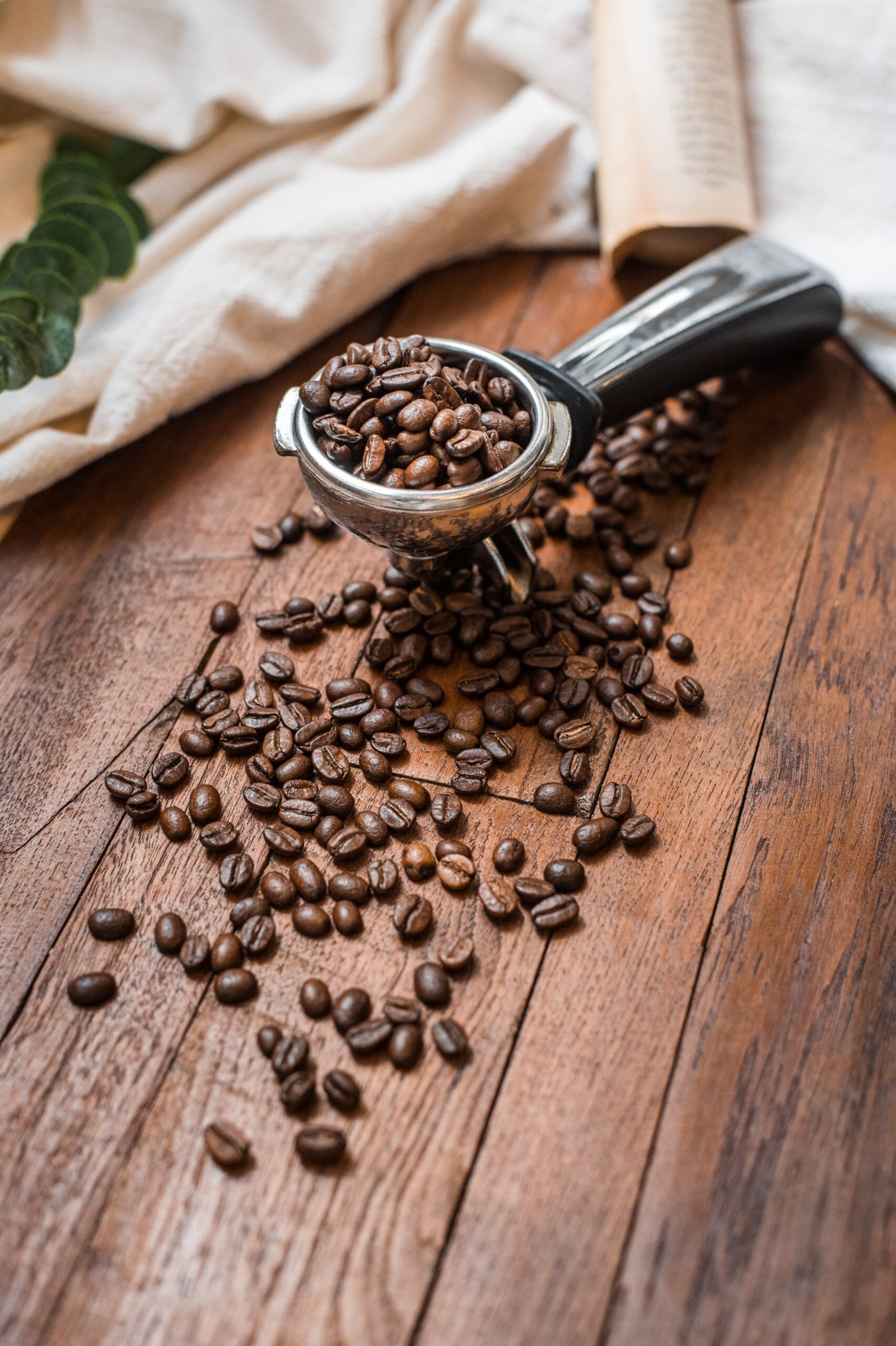 Civet Coffee Review:the Exquisite Brew from the Mysterious Civet Cat ...