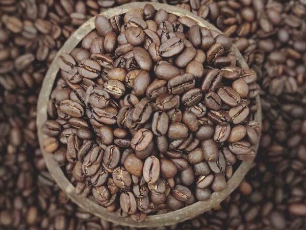 Exploring the Richness of Indonesia's Roasted Coffee - FnB Tech Indonesia